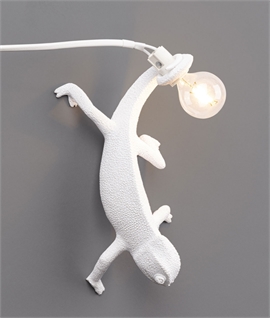 Fun & Funky - Wall Lights That Are a Little Quirky | Lighting Styles