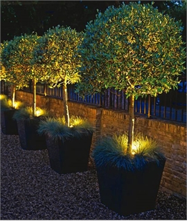 Modern | Contemporary | Designer | Shop at Lighting Styles