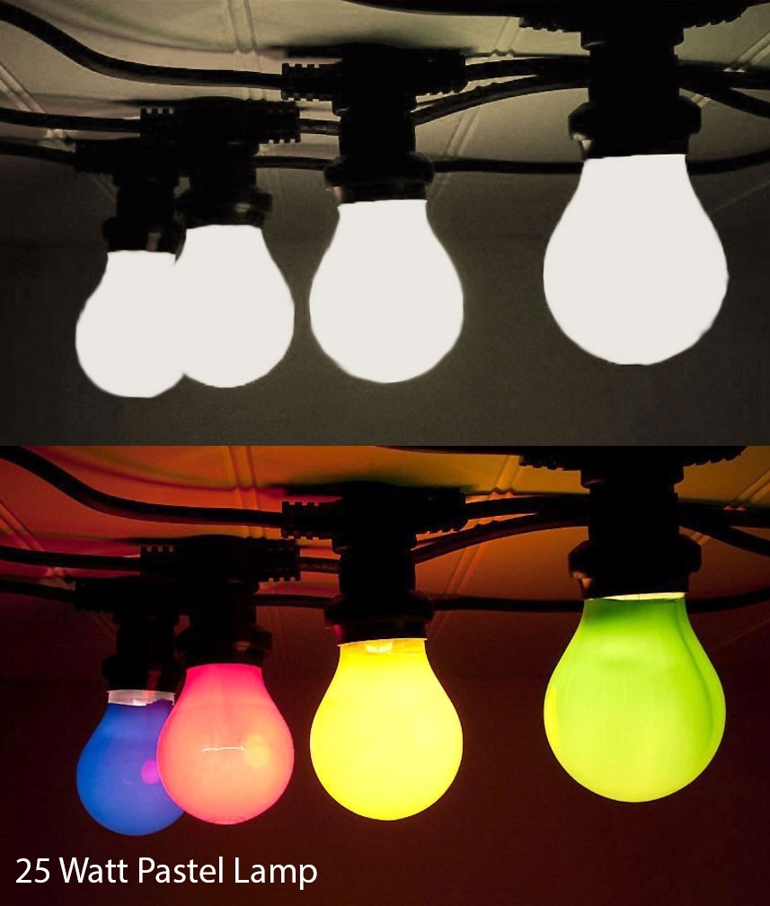 Professional Grade Festoon Exterior Lighting