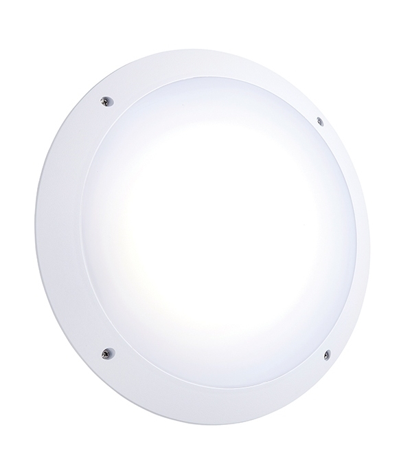 Exterior Ceiling Bulkhead with Microwave Sensor