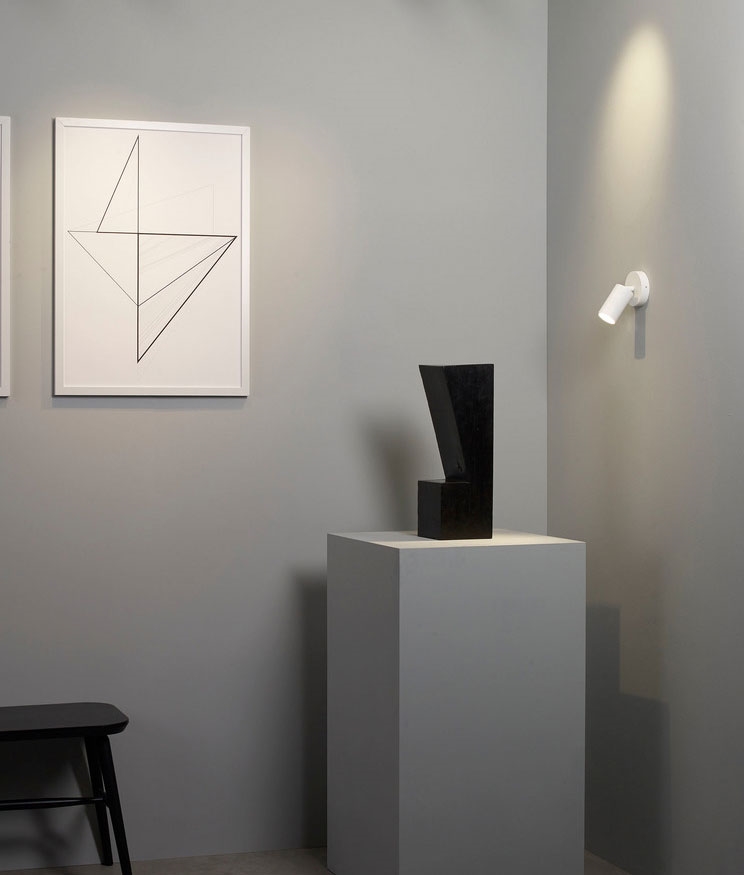 Black or White Narrow Beam LED Adjustable Single Spot