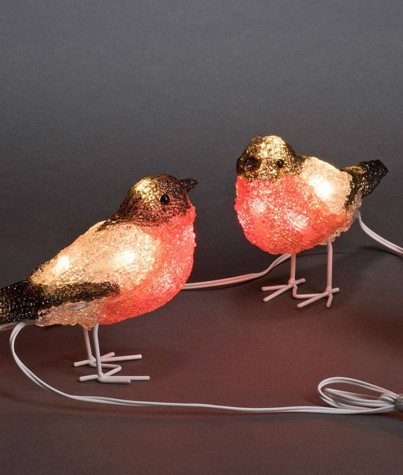 Outdoor Robin Light Set - 5 Pieces for Christmas or Other Season