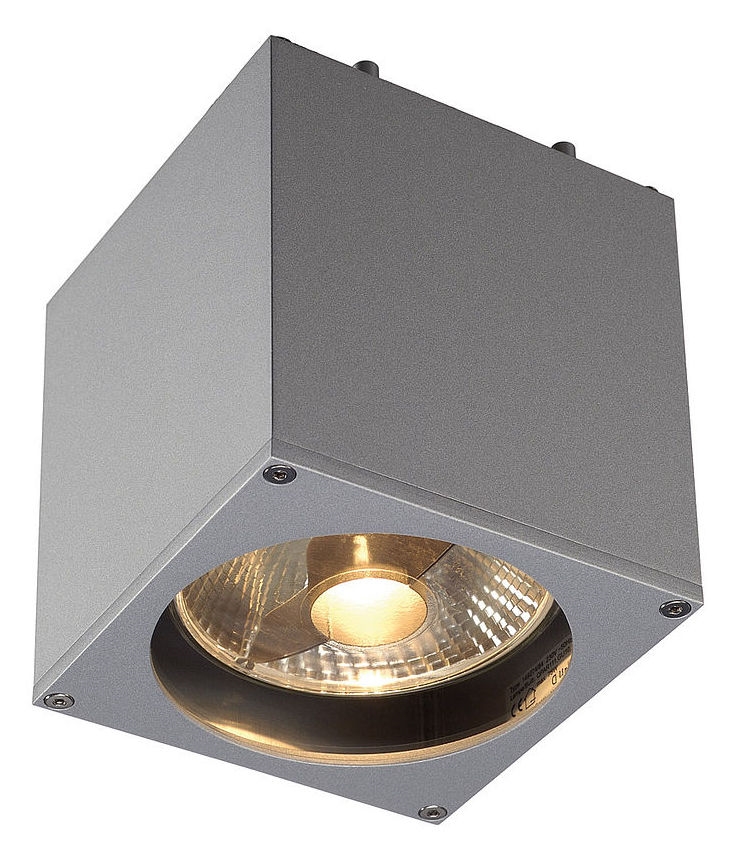 Square Fixed Mains Downlight
