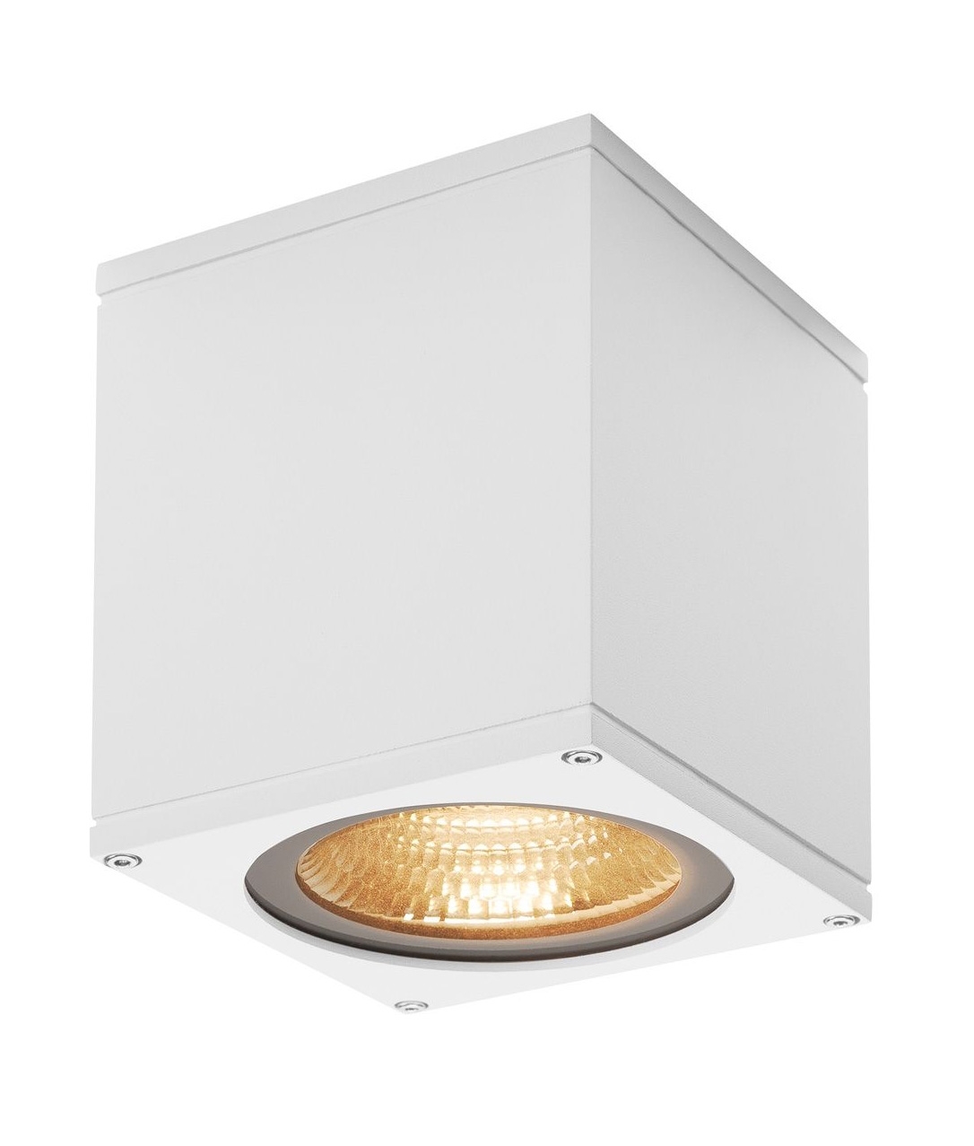 Surface Mounted Square Mains Downlight