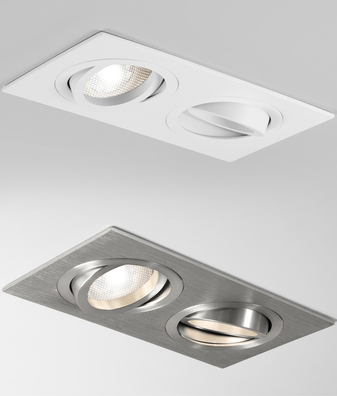 Double Lamp Adjustable Interior Downlight Plate
