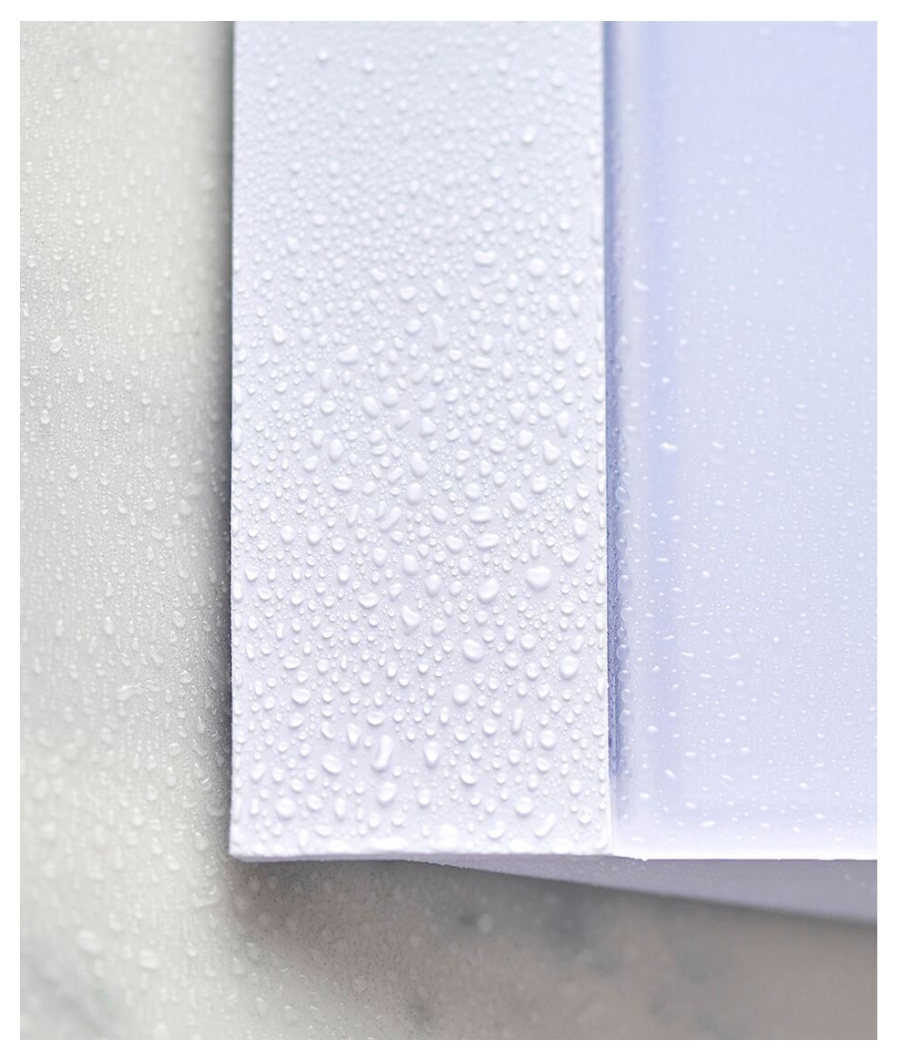 Chrome And Frosted Glass Shaver Light