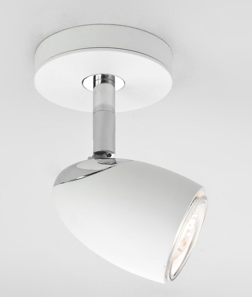 Single Ceiling Spotlight Fixture
