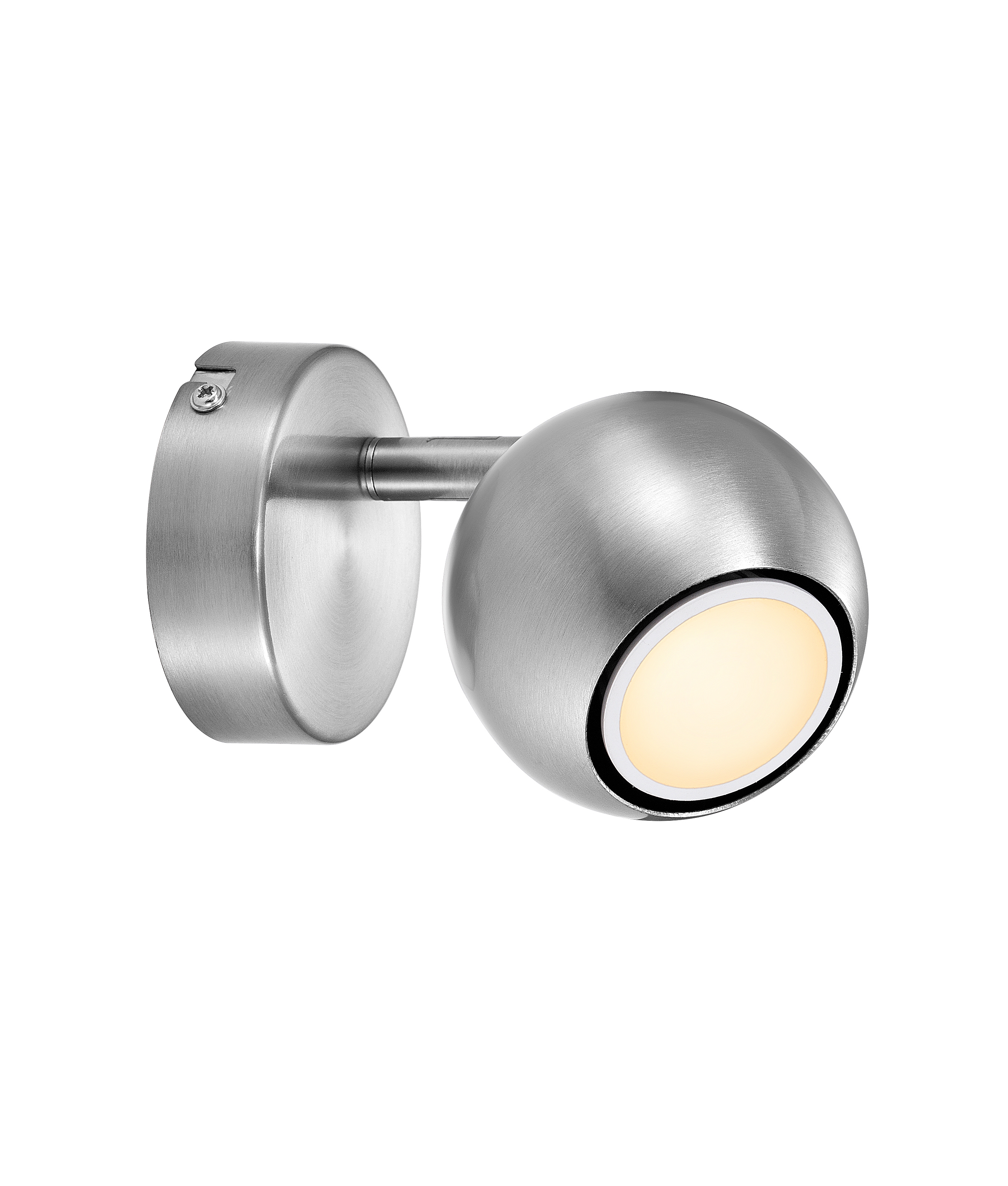 Budget Stainless Steel Adjustable Wall Spotlight