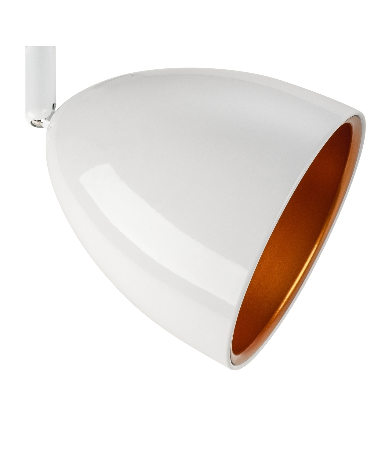 Cone Spotlight for Signature Circuit Track