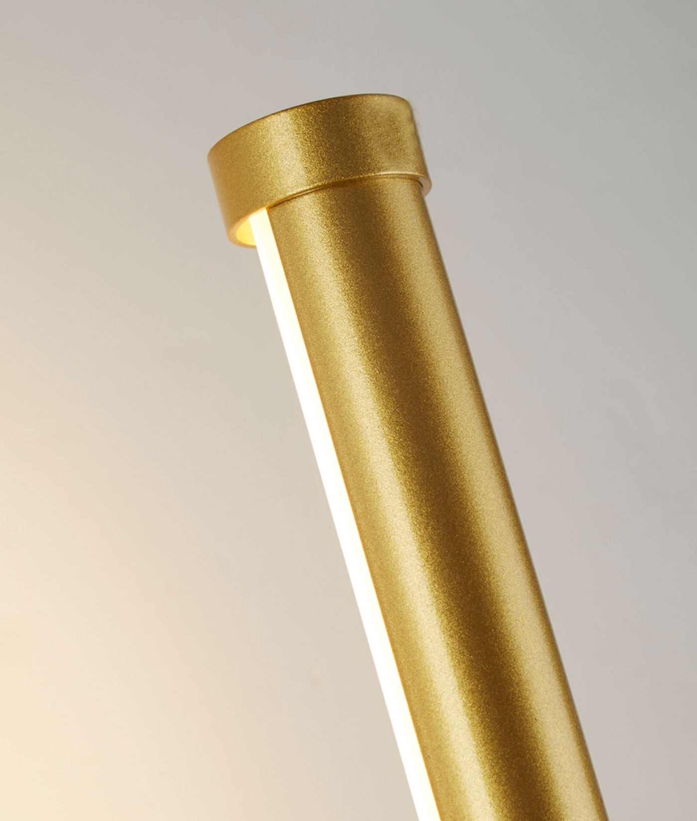 Gold Finish Slim and Tall LED Wall Light Warm White Light