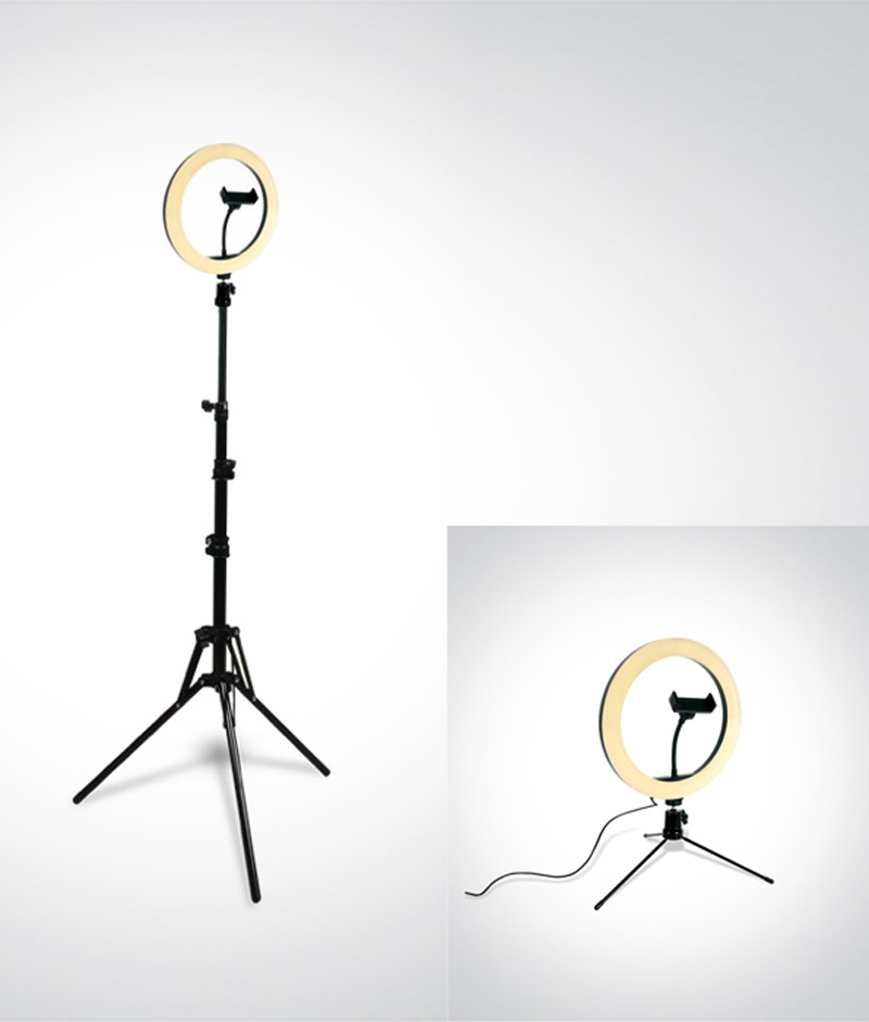CCT Changeable Social Media Ring Light with Phone Holder