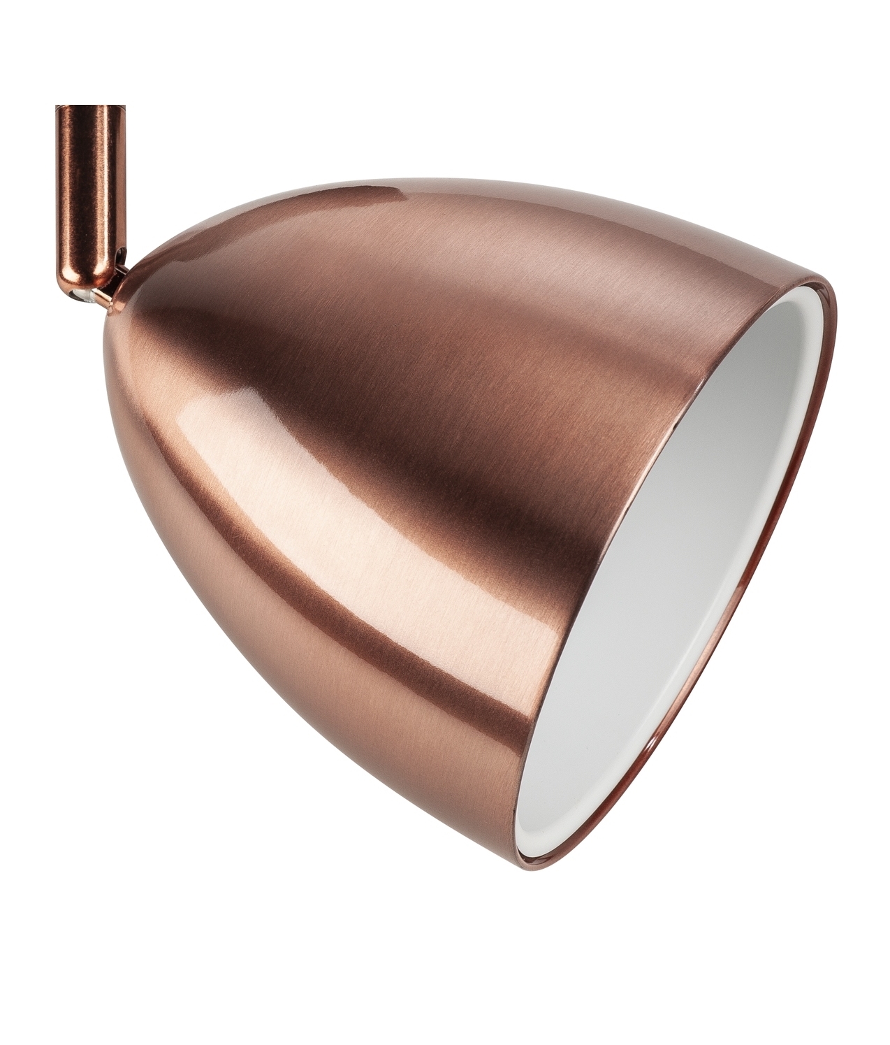 Cone Spotlight for Signature Circuit Track