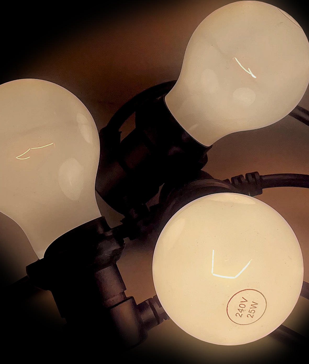 Traditional Festoon String Lights - 20 E27 Mains Lamps