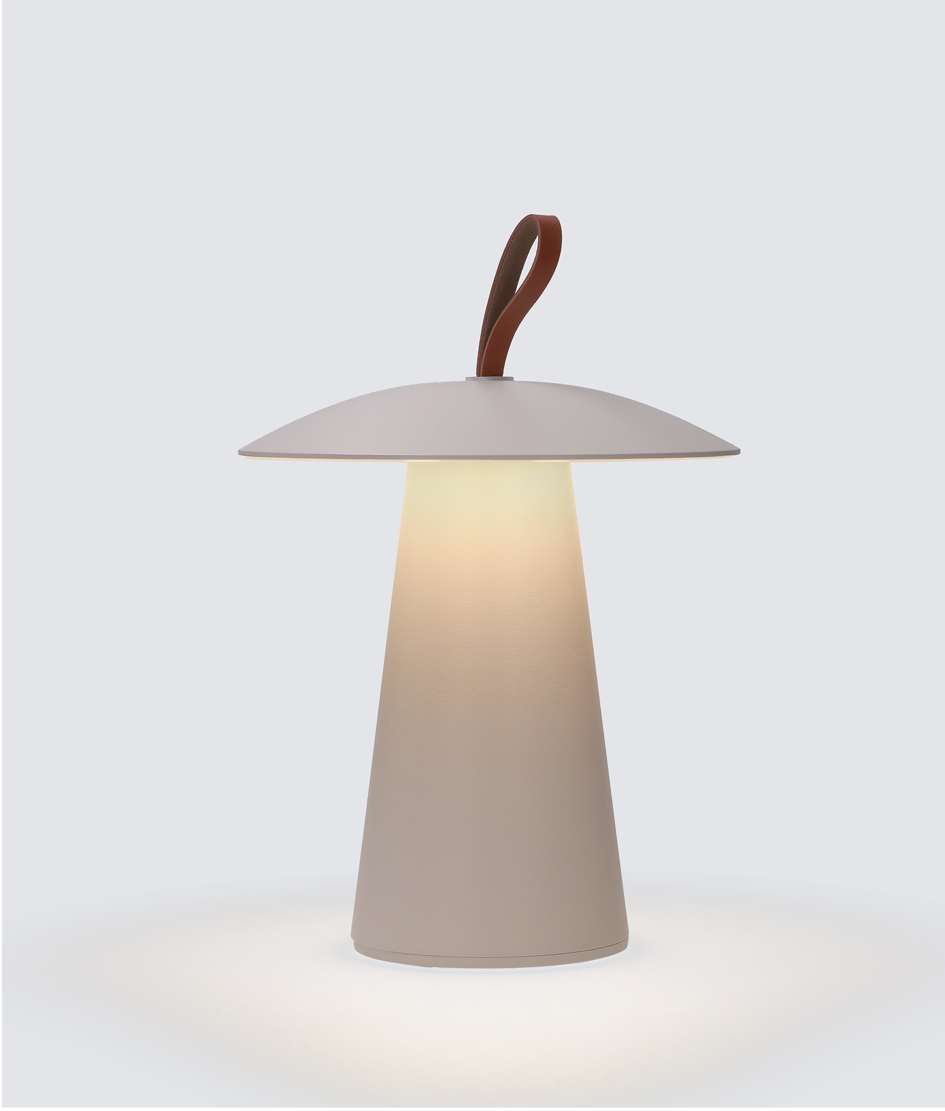 Colour Changing Luxury Table Lamp - USB Rechargeable - Toadstool Design