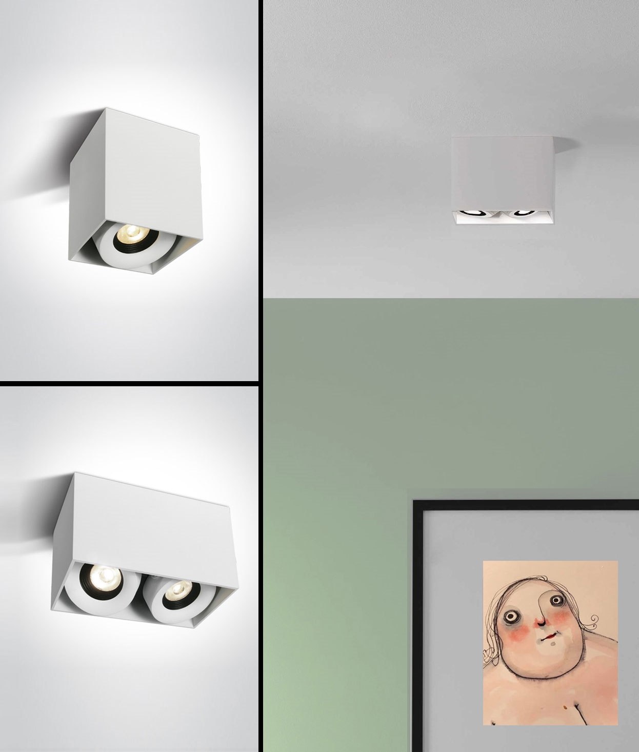 Surface Mounted Light Fixture with Adjustable LED Downlight - Single or ...