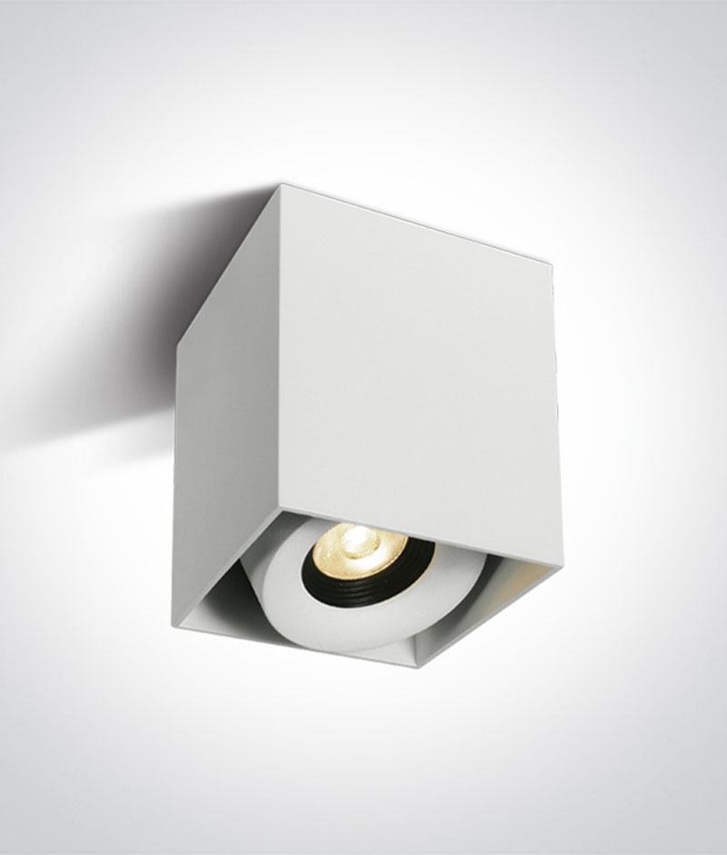 Surface Mounted Light Fixture with Adjustable LED Downlight - Single or ...