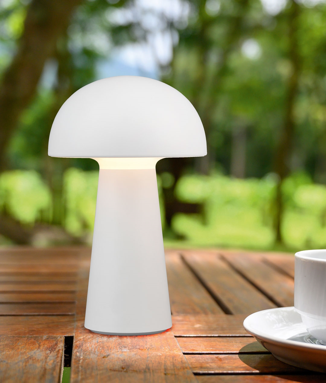 Rechargeable and Portable LED Outdoor Table Lamp - 5 Colours