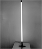Neon Slim Tube Floor or Wall Light in Eight Colours