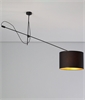 Offset Ceiling Pendant - Put the Light Just Where You Want It